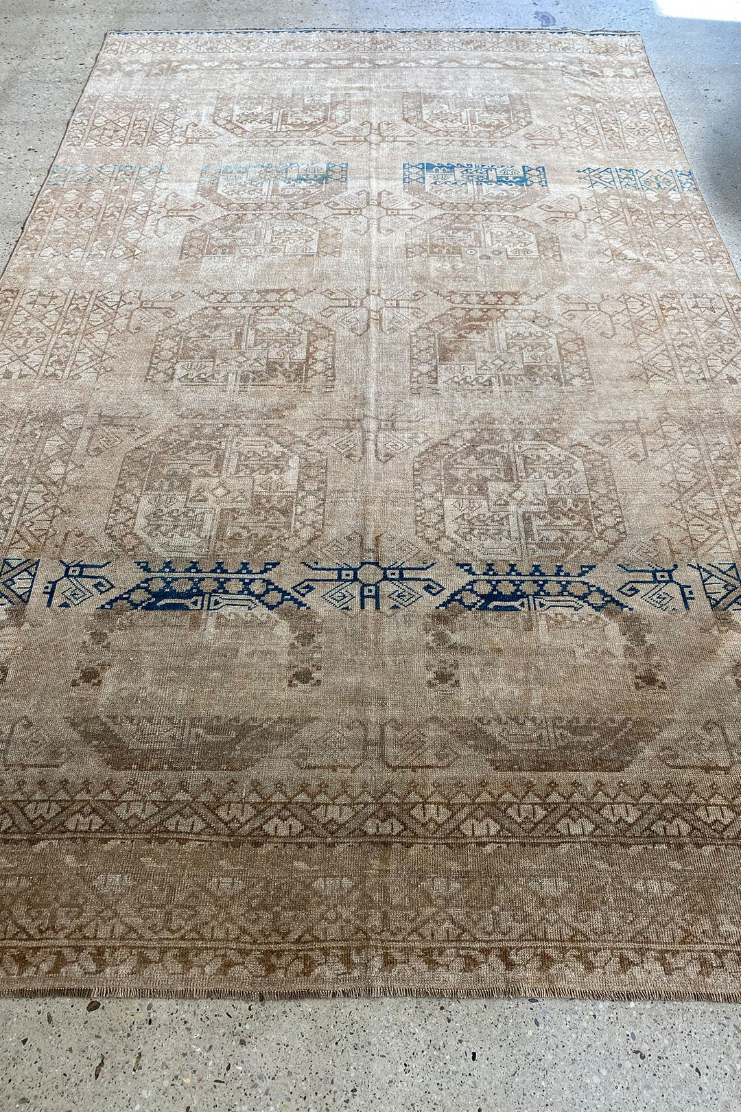 Large Rugs – Swoon Rugs