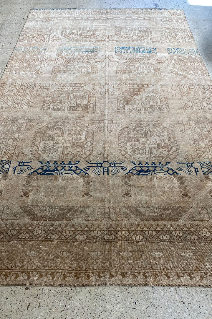 Large Rugs – Swoon Rugs